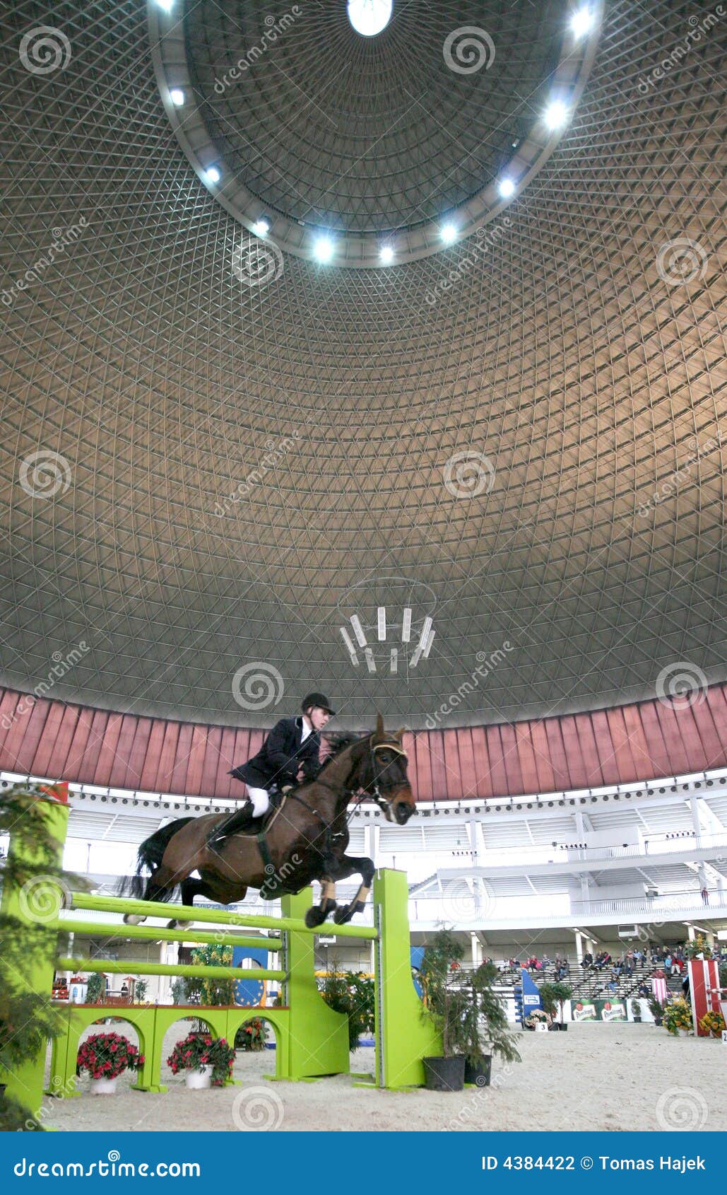 Horse riding race editorial photography. Image of galloping - 4384422