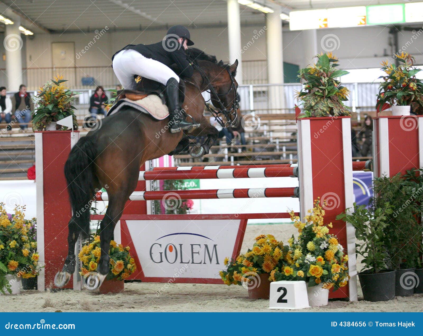 Horse riding race editorial photo. Image of competition - 4384656