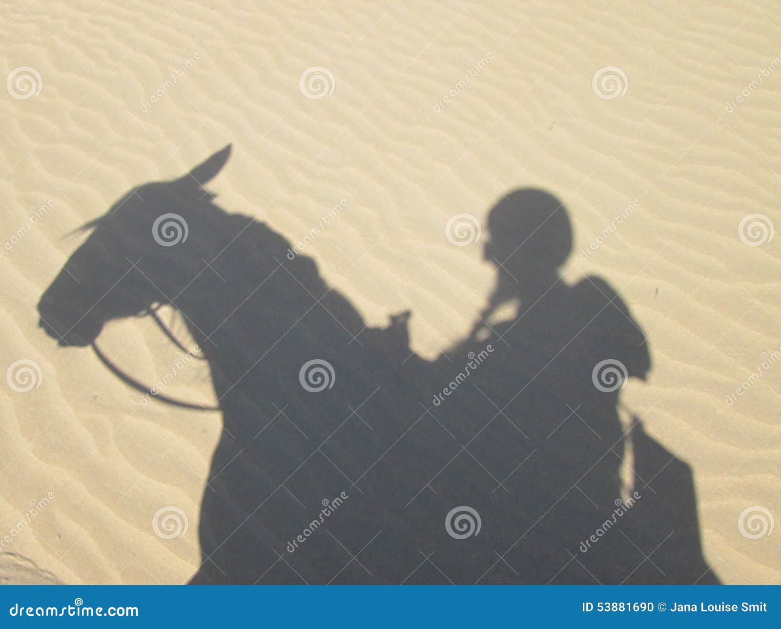 Horse Riding. stock photo. Image of travel, animal, rider - 53881690