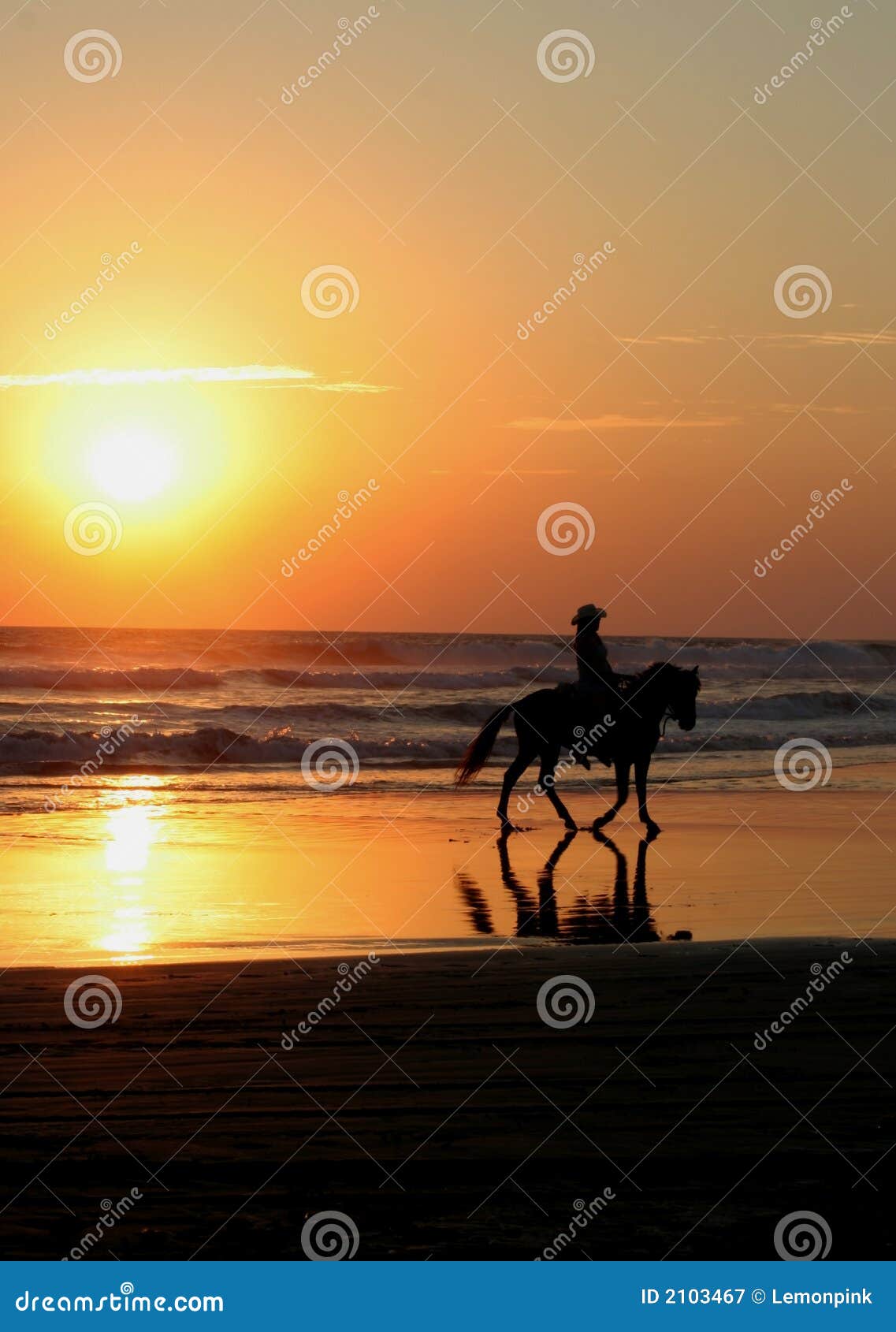 Horse riding at sun set stock image. Image of equine, sunset - 2103467