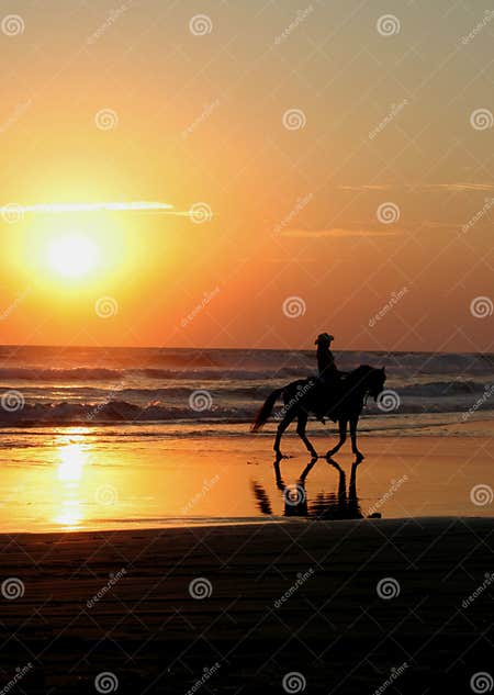 Horse riding at sun set stock image. Image of equine, sunset - 2103467