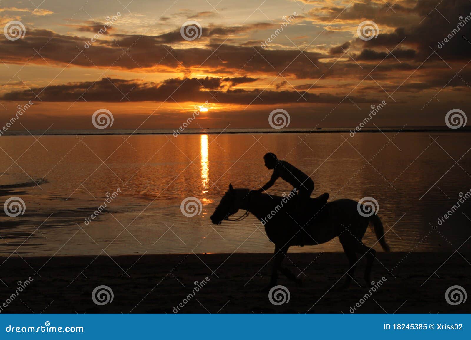 Horse-Riding at Sunset stock image. Image of west, amazing - 18245385