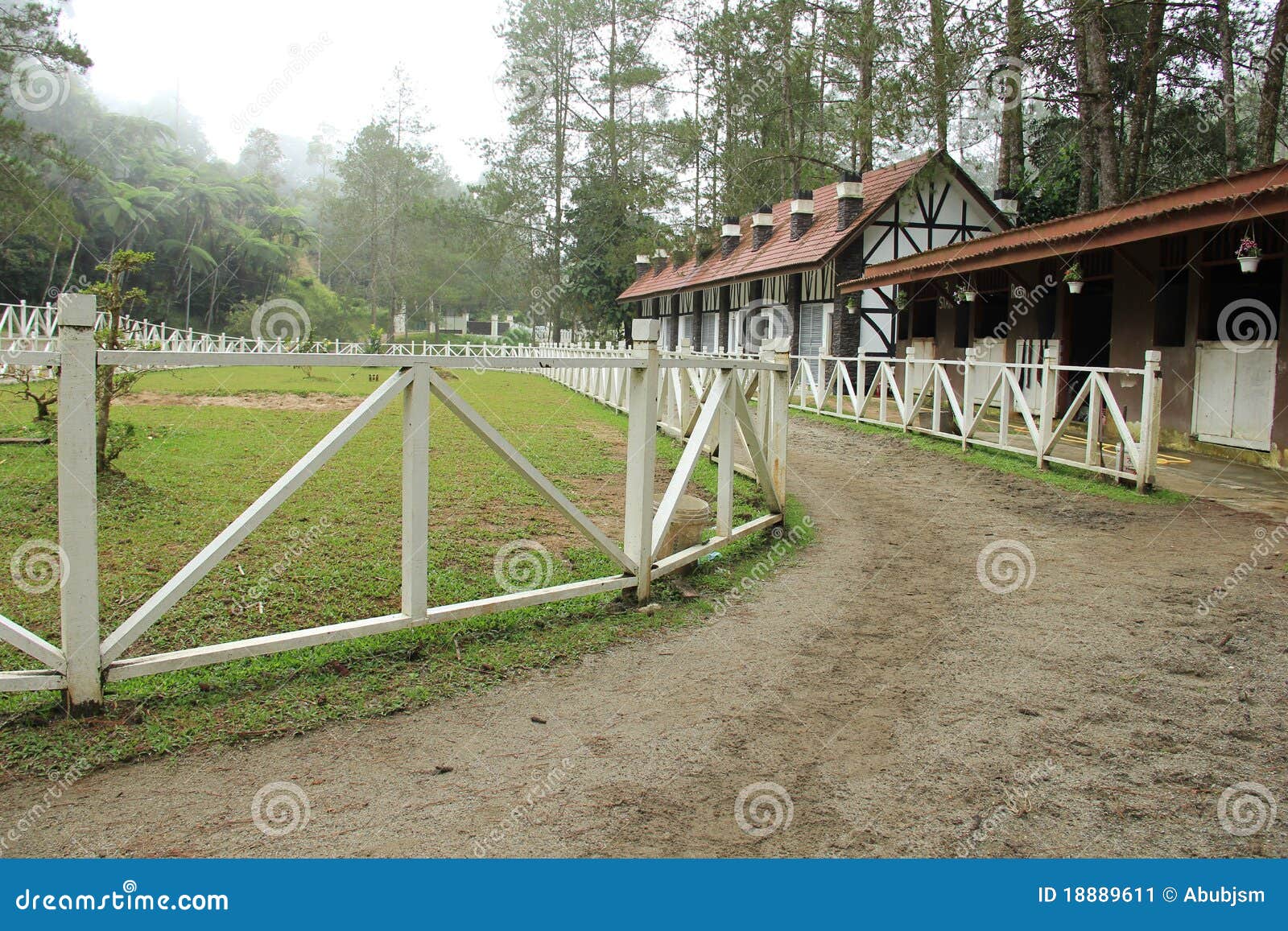 Horse riding track stock image. Image of white, domestic - 18889611