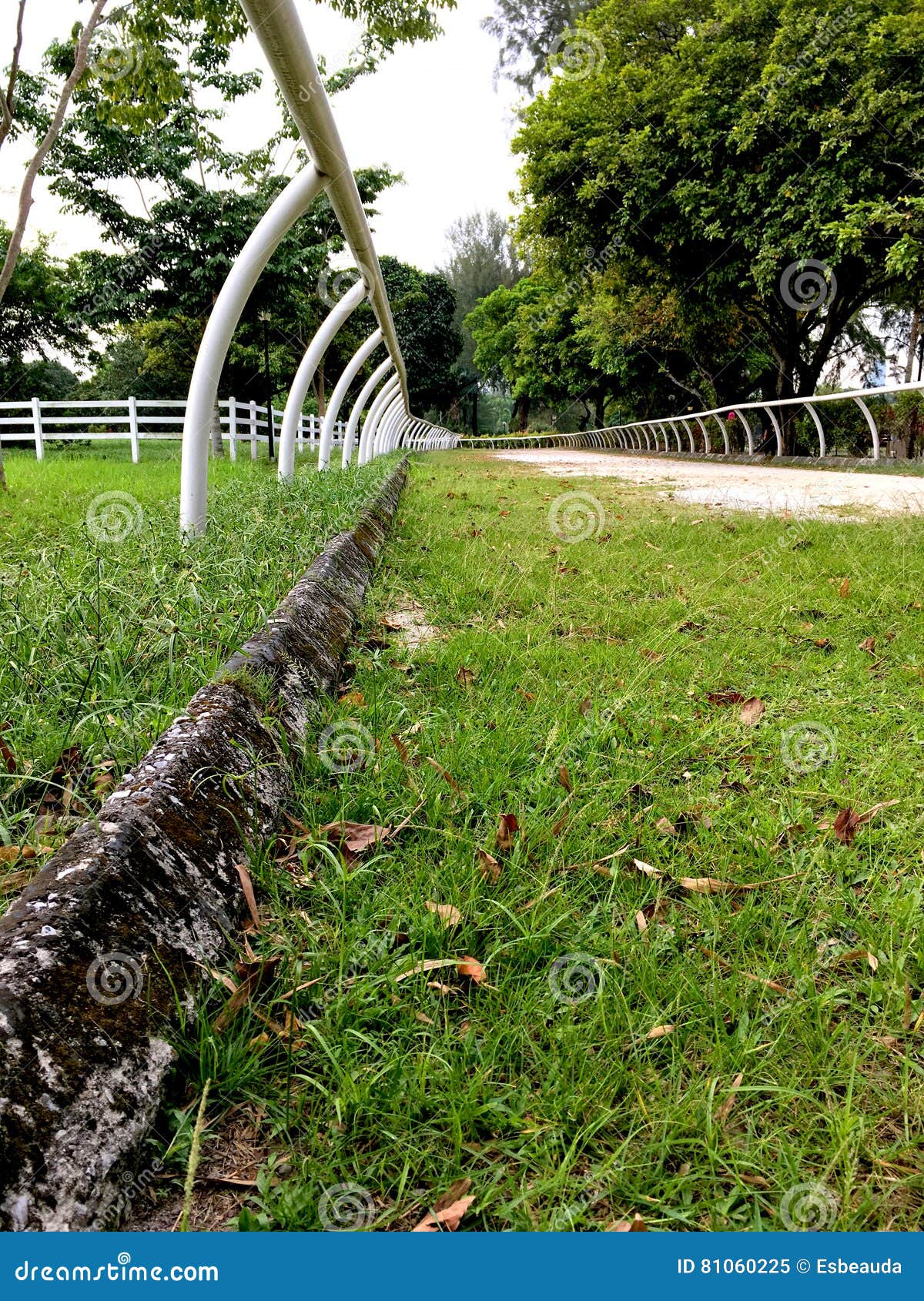 Horse Riding Track with White Trails Stock Image - Image of trail, dirt ...