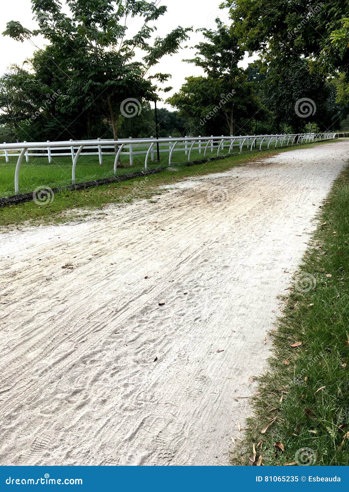 Horse Riding Track with White Trails Stock Image - Image of track ...