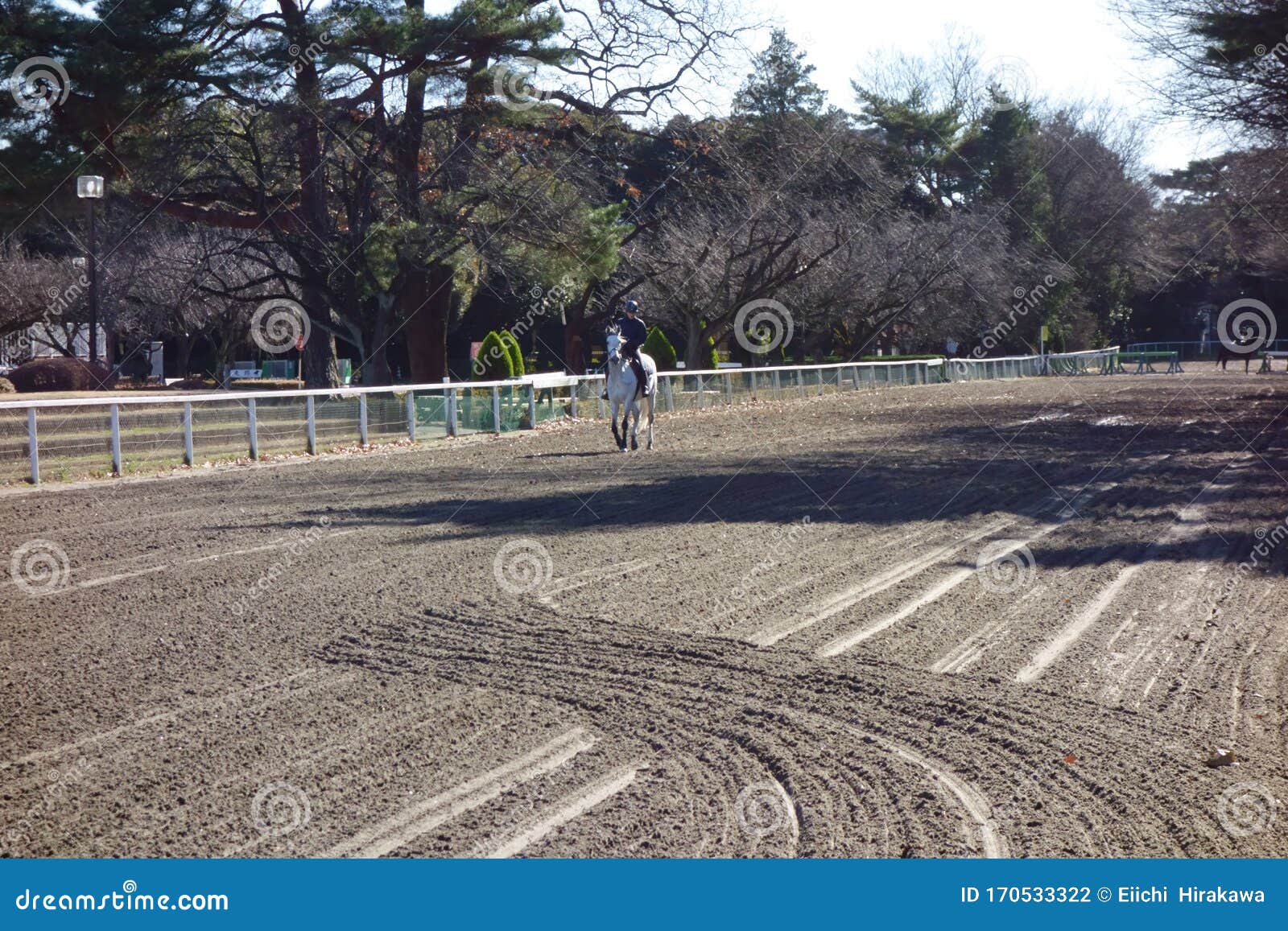 Horse Riding Training and Practice Editorial Photography - Image of ...