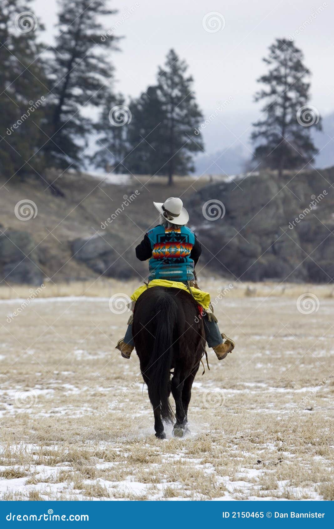Horse Roundup stock image. Image of running, roundup, rocky - 2150465