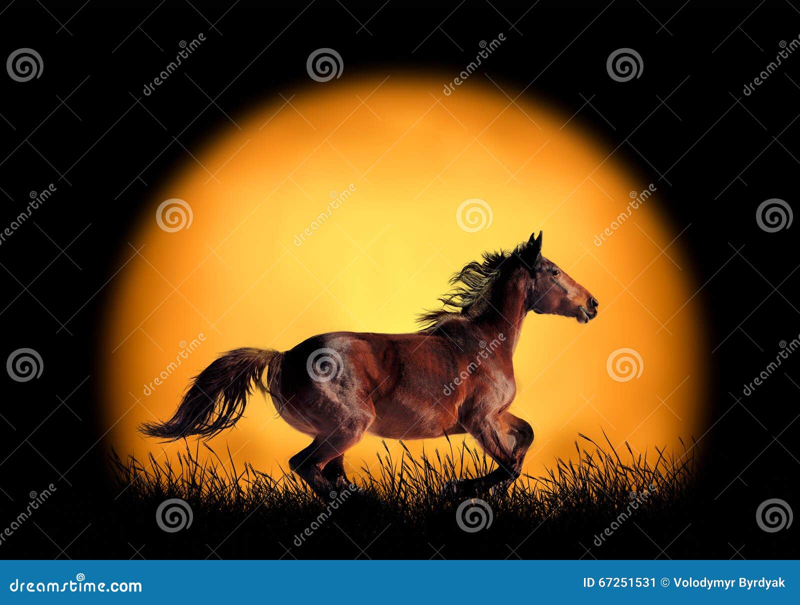 Horse Running on the Background of Sunset Stock Image - Image of mare ...