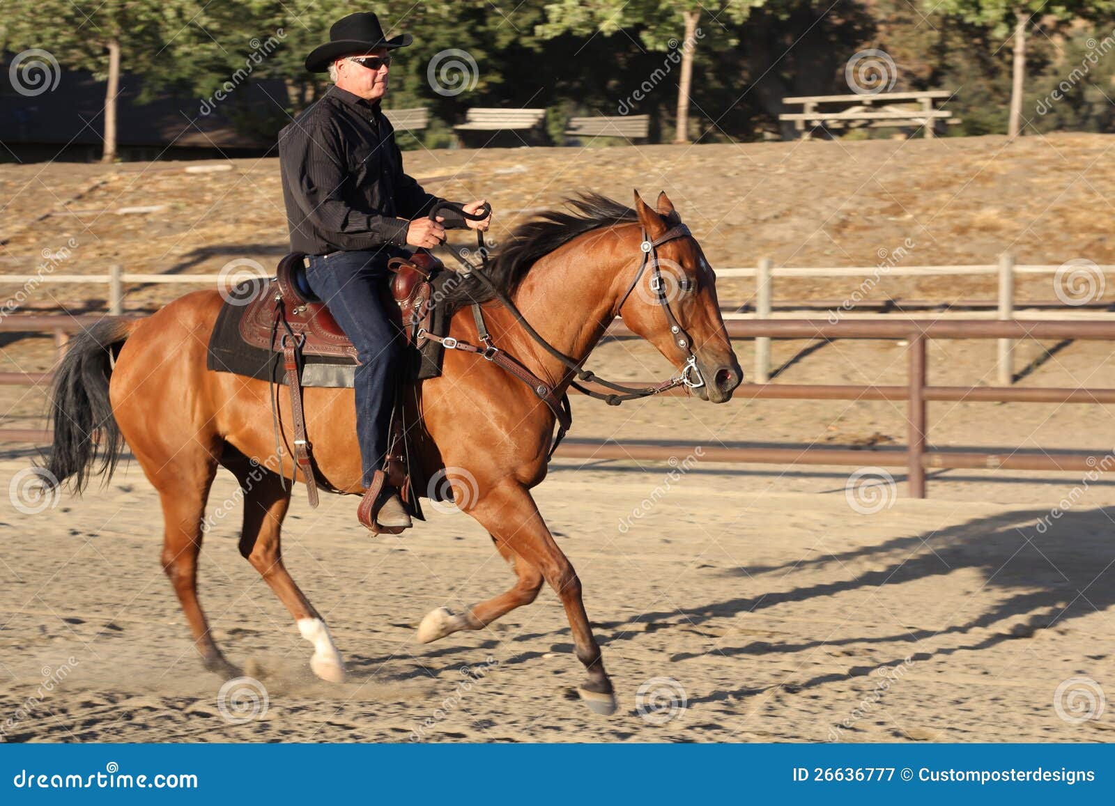 A Horse Running with a Cowboy. I Stock Image - Image of face, equine ...