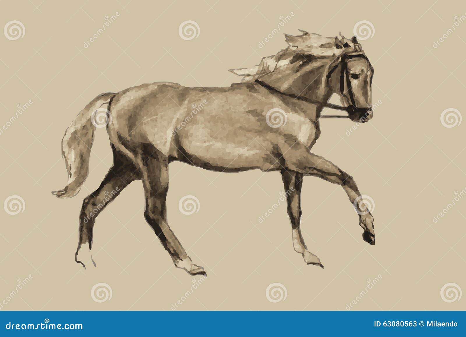 The Horse S Gallop (vintage Pattern) Stock Vector - Illustration of ...