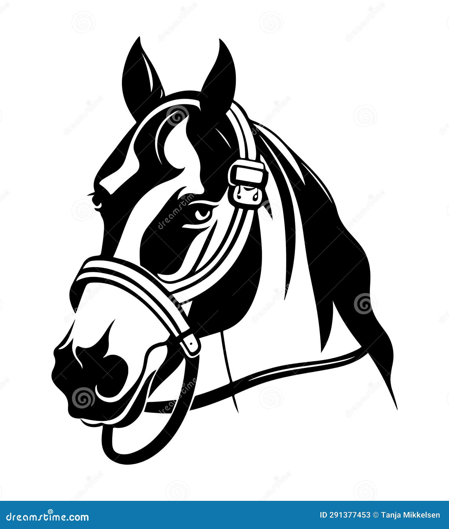 Horse s head with a bridle stock illustration. Illustration of close ...