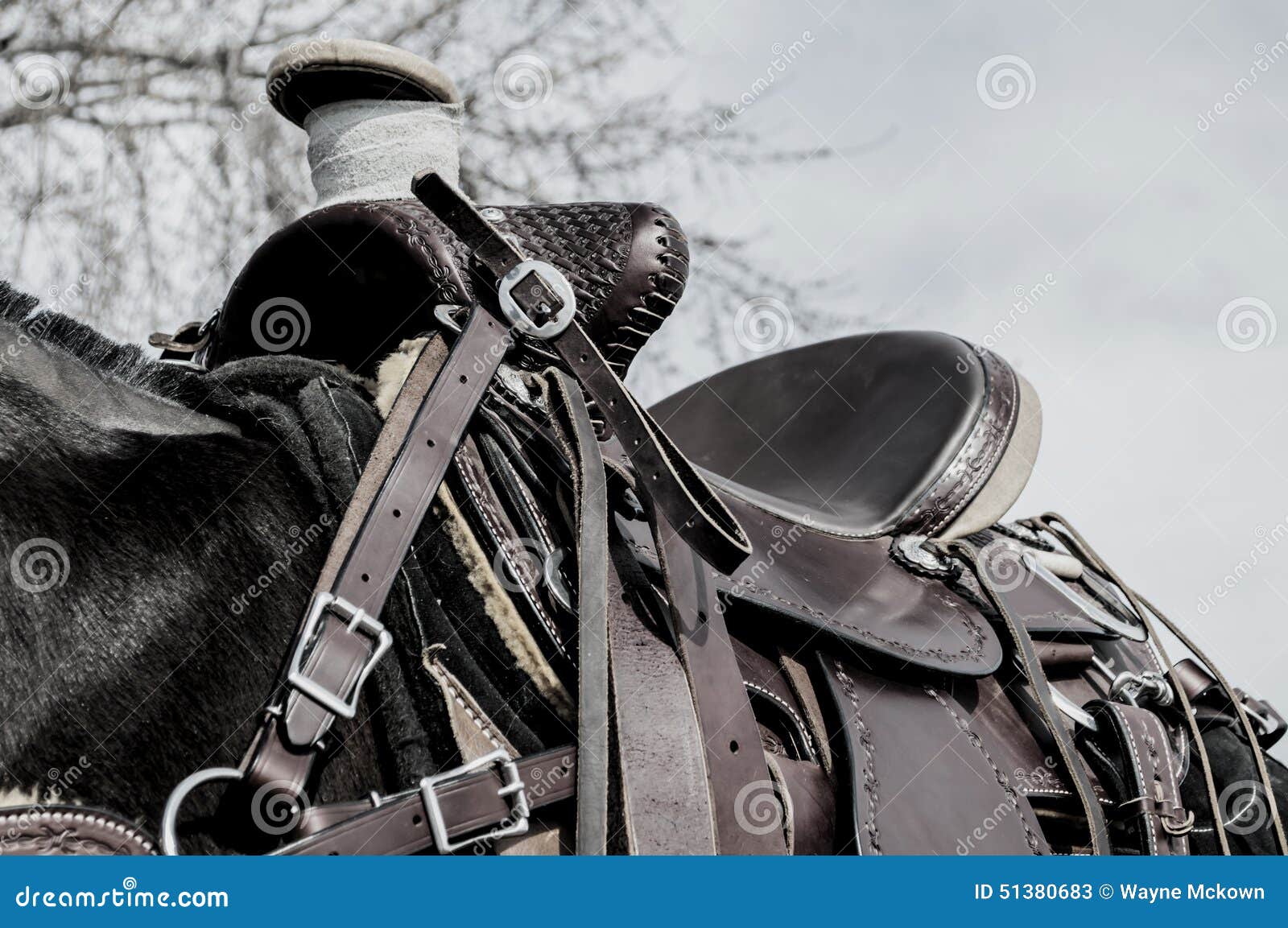 Horse Saddle,leather,blanket Stock Image - Image of equine, side: 51380683