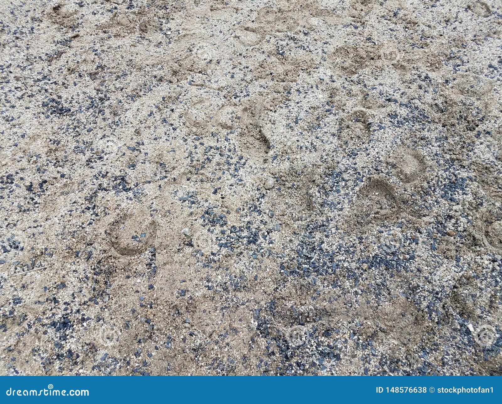 Horseshoe Tracks Horse Shoeing Footprints In The Ground Royalty-Free ...