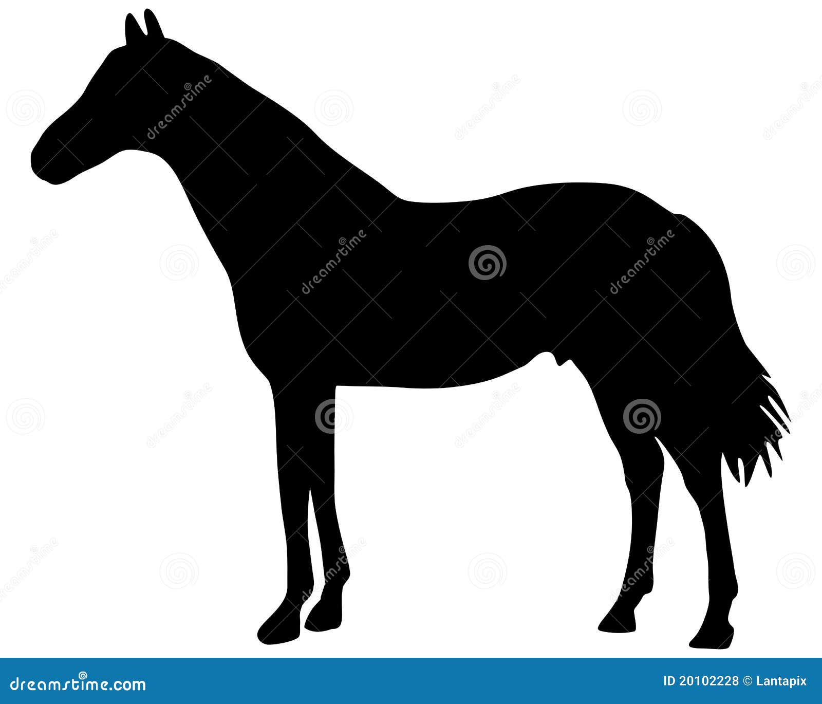 Horse silhouette stock vector. Illustration of warmblood - 20102228