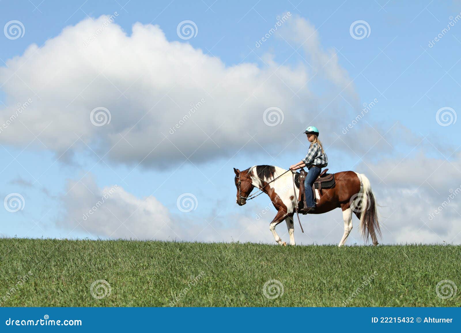 Horse and sky stock photo. Image of profile, equine, style - 22215432