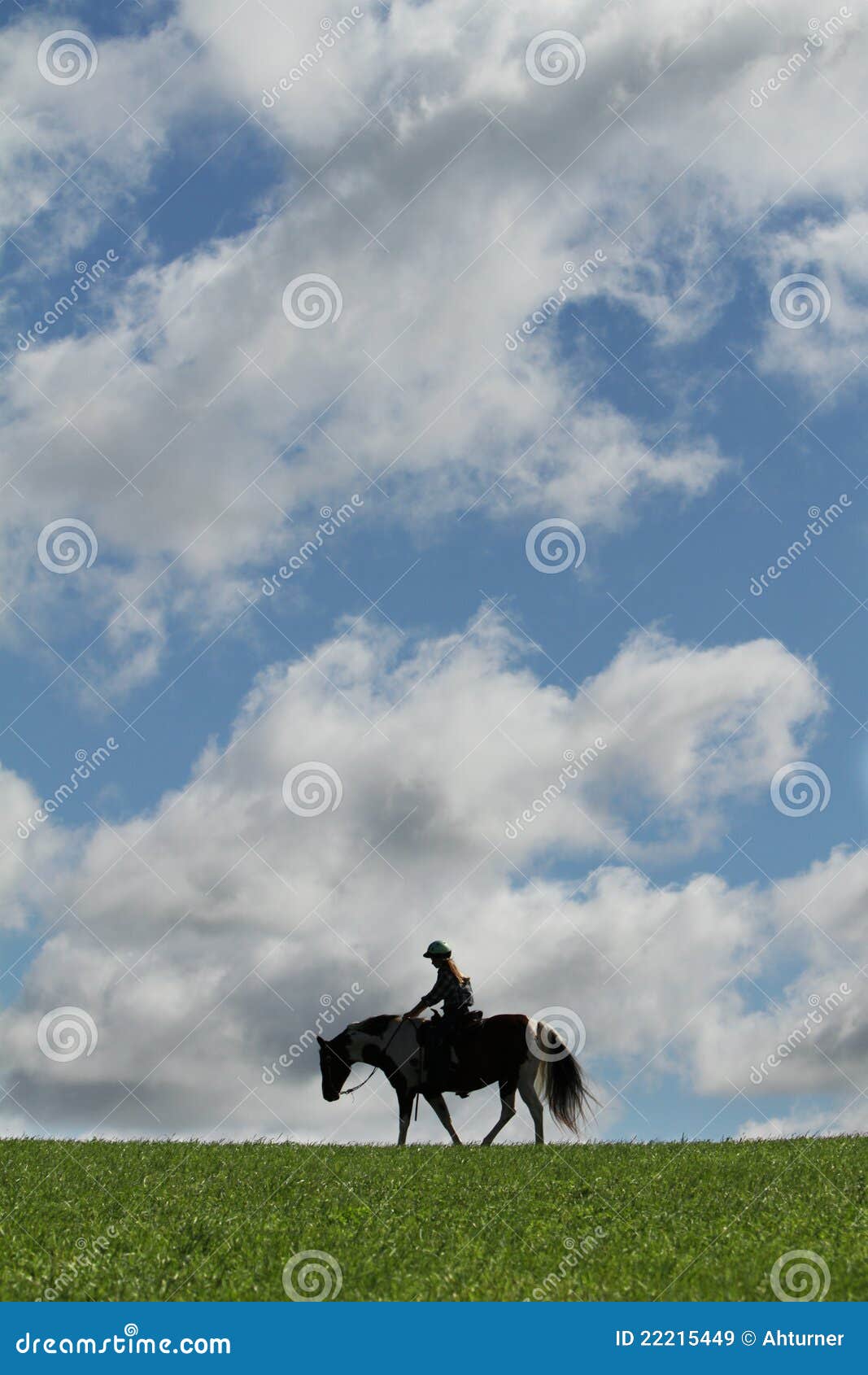 Horse and sky stock image. Image of rider, field, country - 22215449