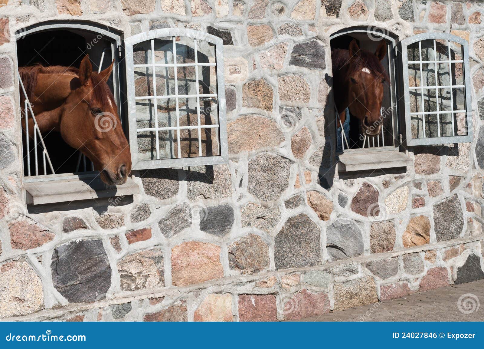 Horse stable Blue Hors editorial photo. Image of animals - 24027846