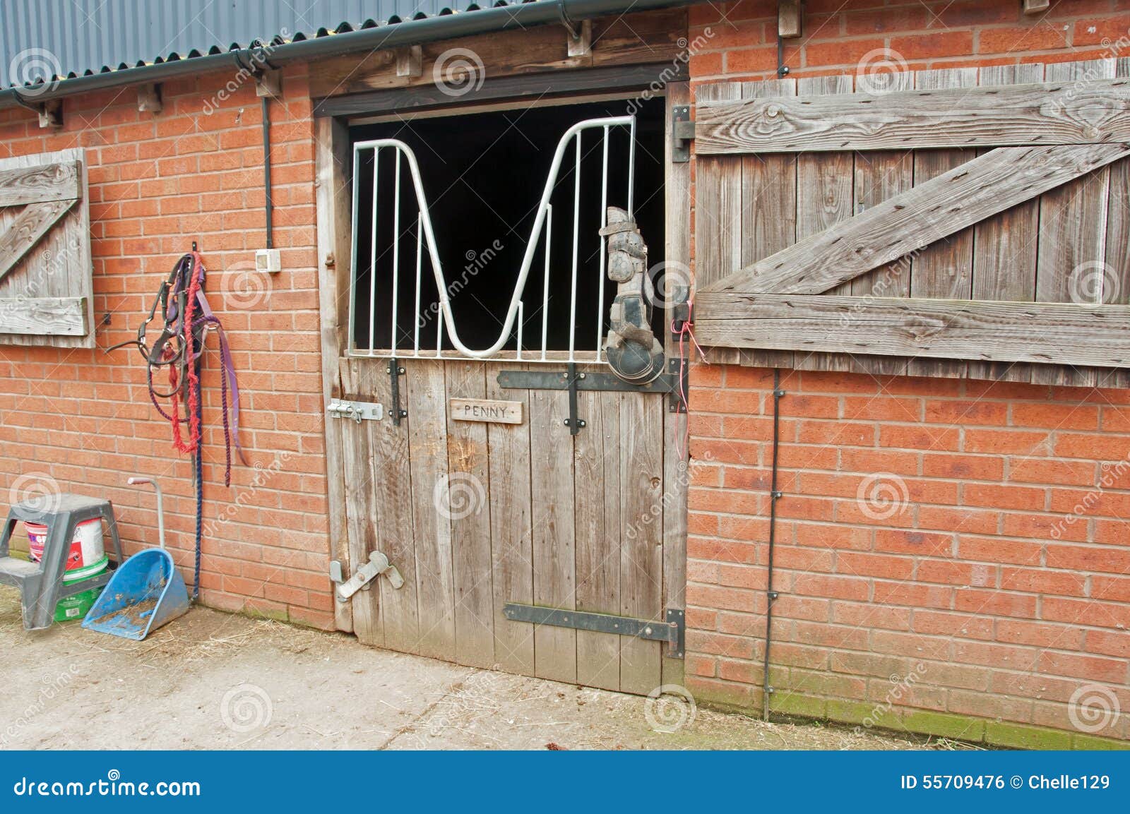 Horse stable stock photo. Image of tools, brick, collars - 55709476