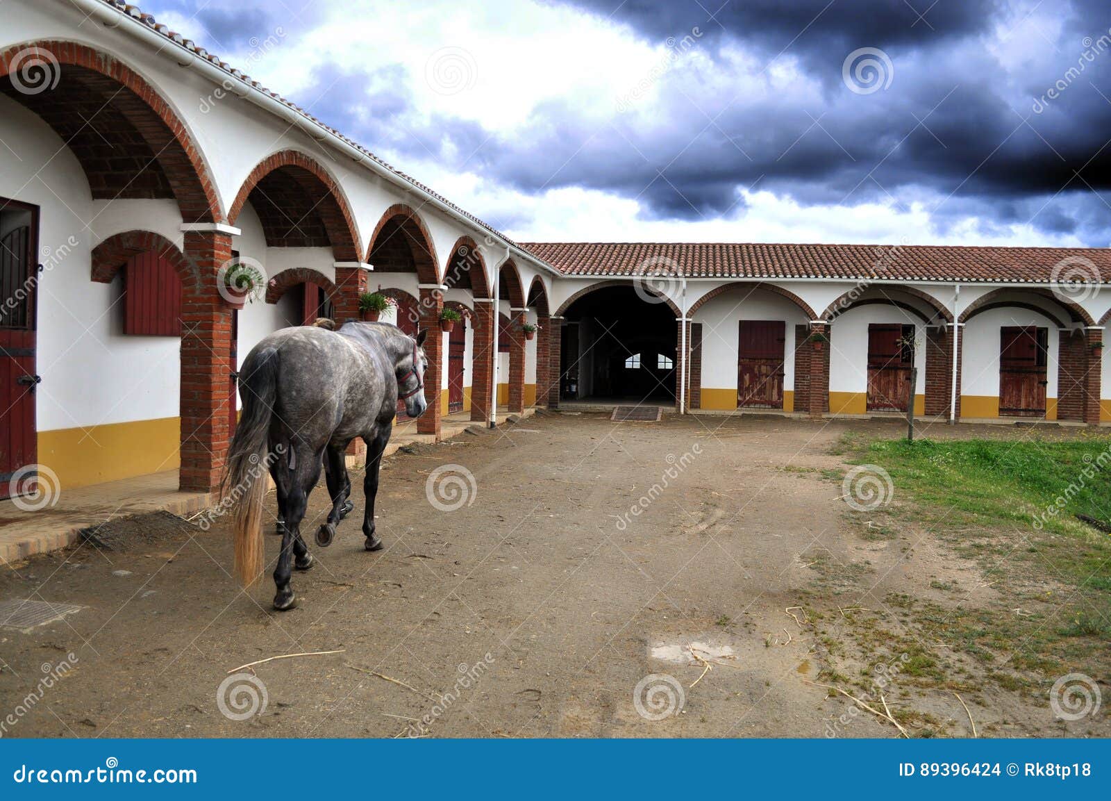 Horse in stable yard stock photo. Image of training, historic - 89396424