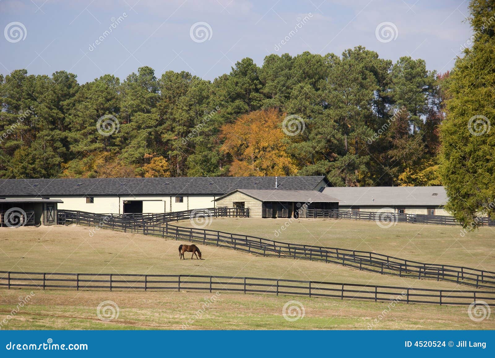 Horse Stables stock photo. Image of horses, field, barn - 4520524