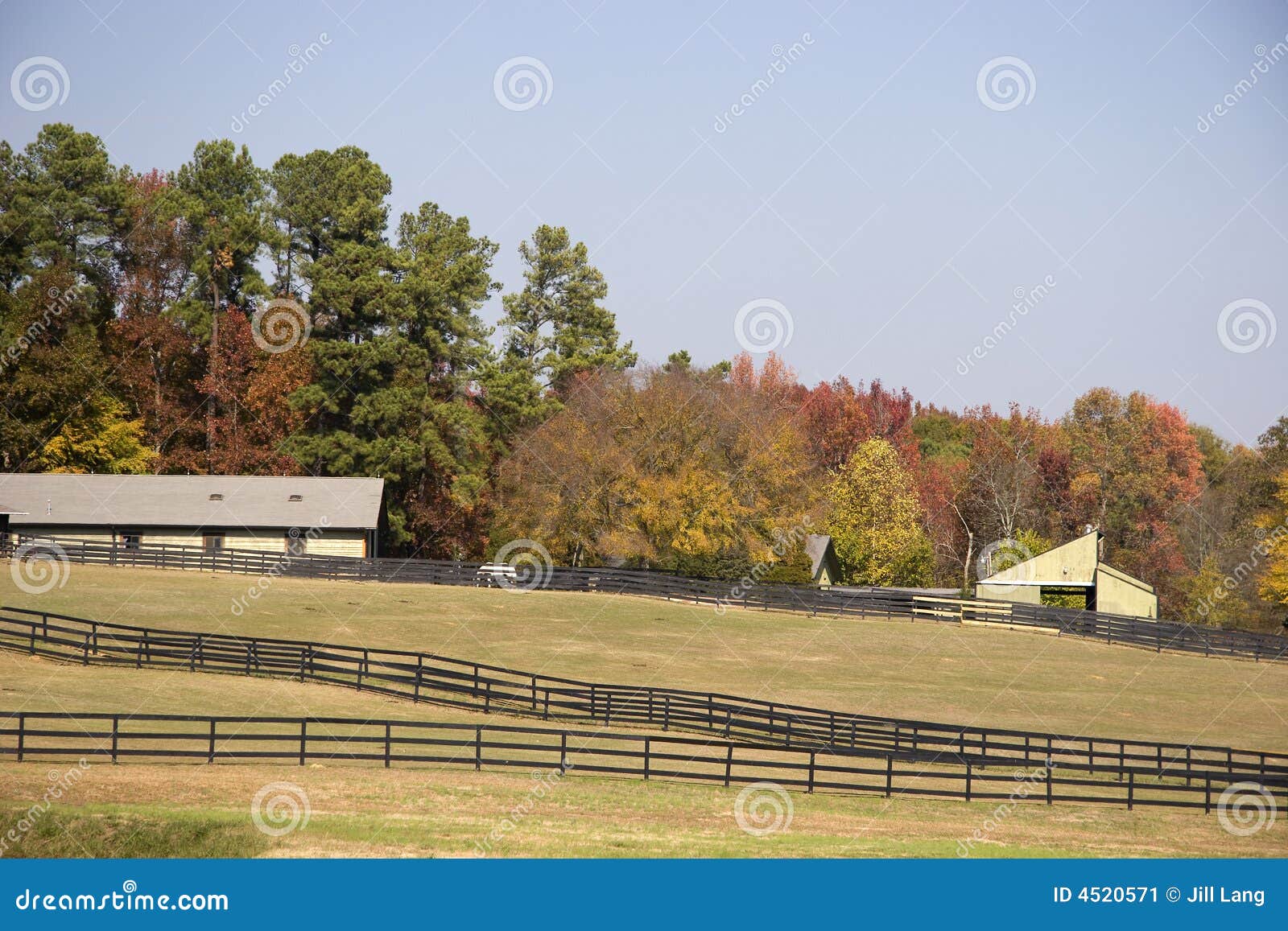 Horse Stables in Autumn stock image. Image of autumn, outdoors - 4520571