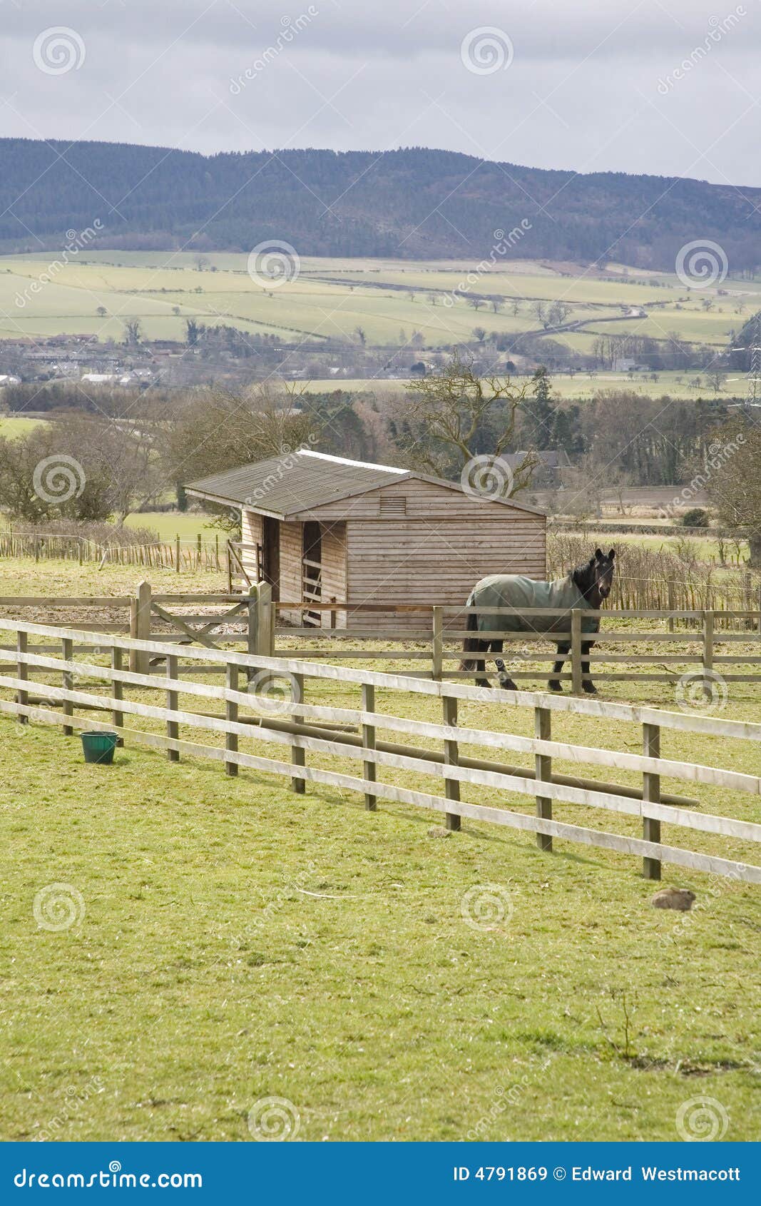 Horse and stables in field stock image. Image of english - 4791869