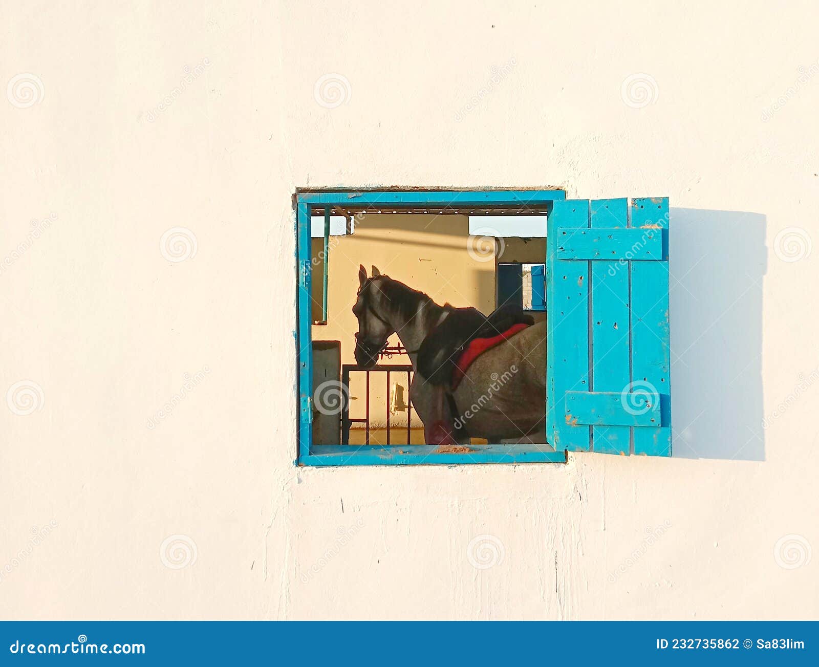 Horse Stables in Halban, Muscat, Oman Stock Photo - Image of design ...