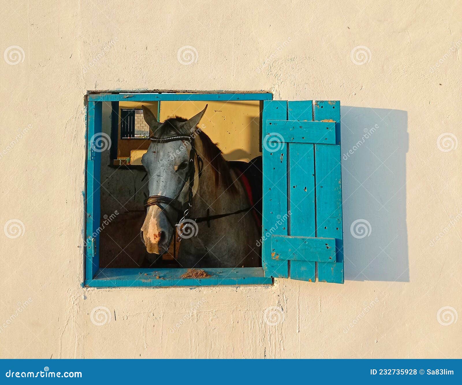Horse Stables in Halban, Muscat, Oman Stock Photo - Image of sketch ...