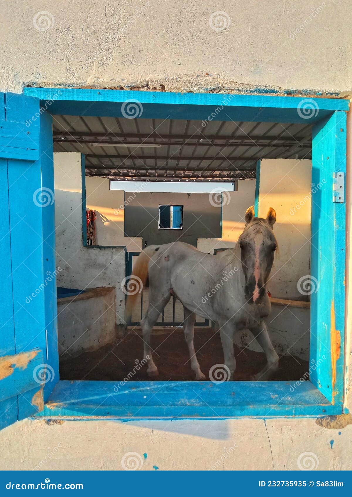 Horse Stables in Halban, Muscat, Oman Stock Image - Image of home, wall ...