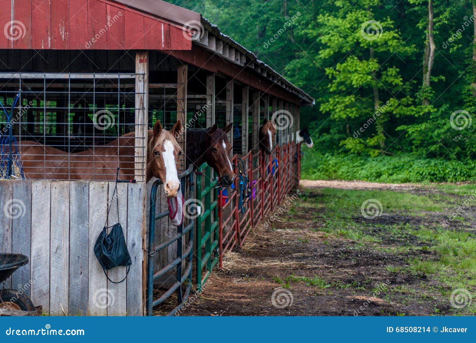 Horse stall stock photo. Image of time, ride, landscaping - 68508214