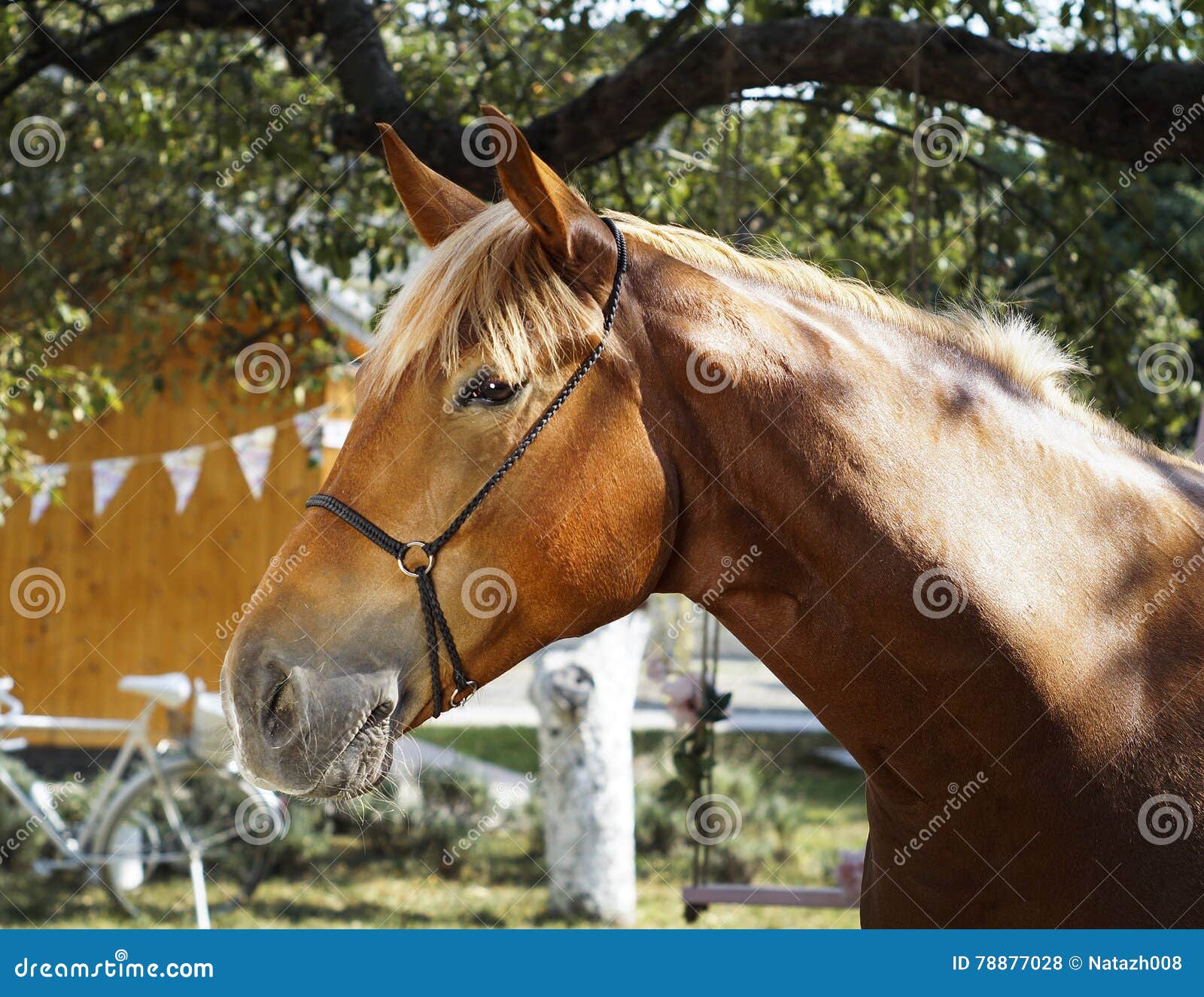 Horse Stands On A Background Of Green Leaves Royalty-Free Stock Image ...