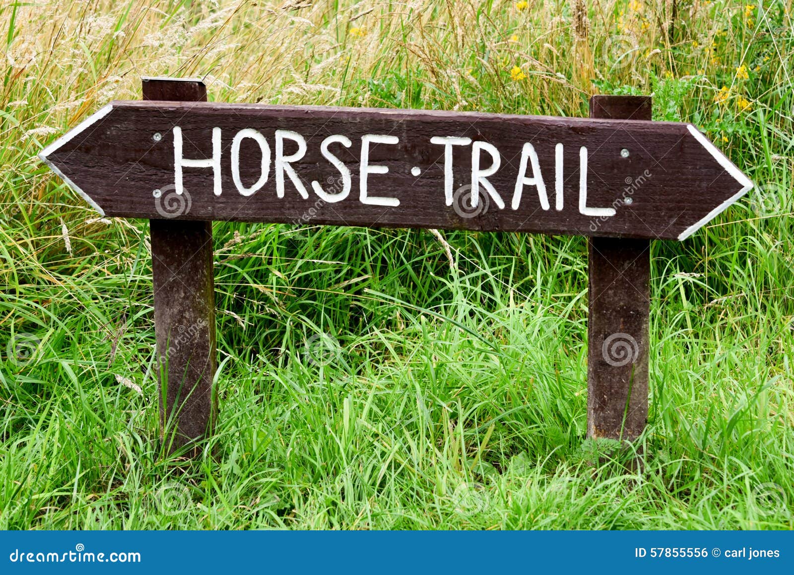 Horse Trail Sign stock photo. Image of isolated, rural - 57855556
