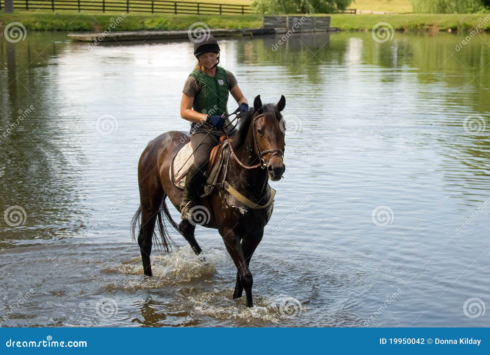 Horse training stock photo. Image of lake, equine, woman - 19950042