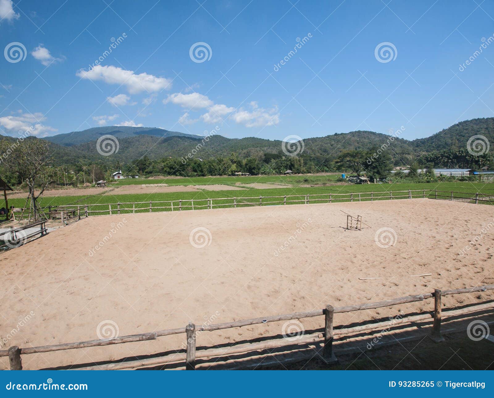 Horse training ground stock image. Image of park, farm - 93285265