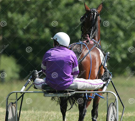 Horse and Trap Race stock image. Image of sport, race, wheel - 151943