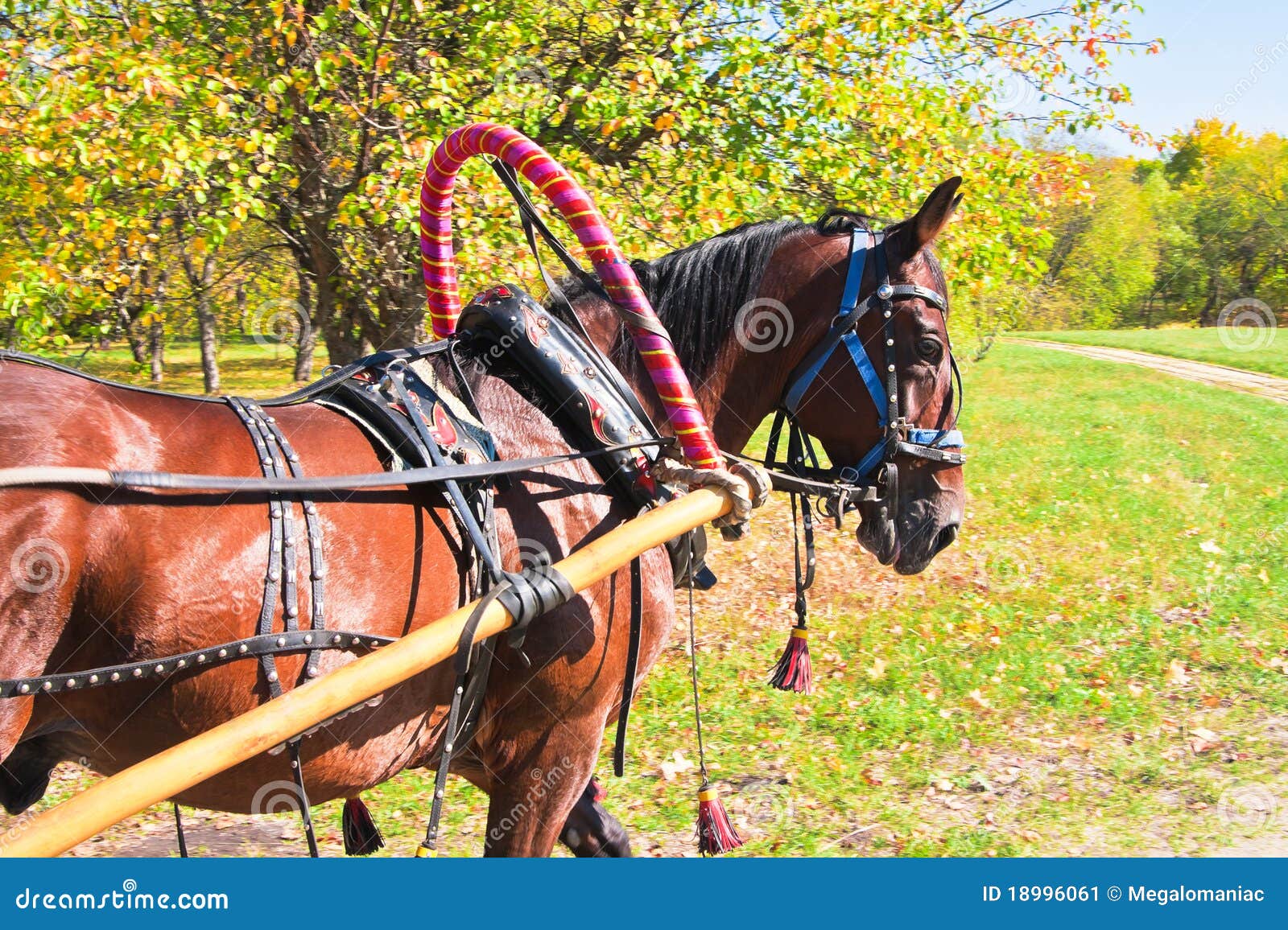 1,723 Trappings Photos - Free & Royalty-Free Stock Photos from Dreamstime