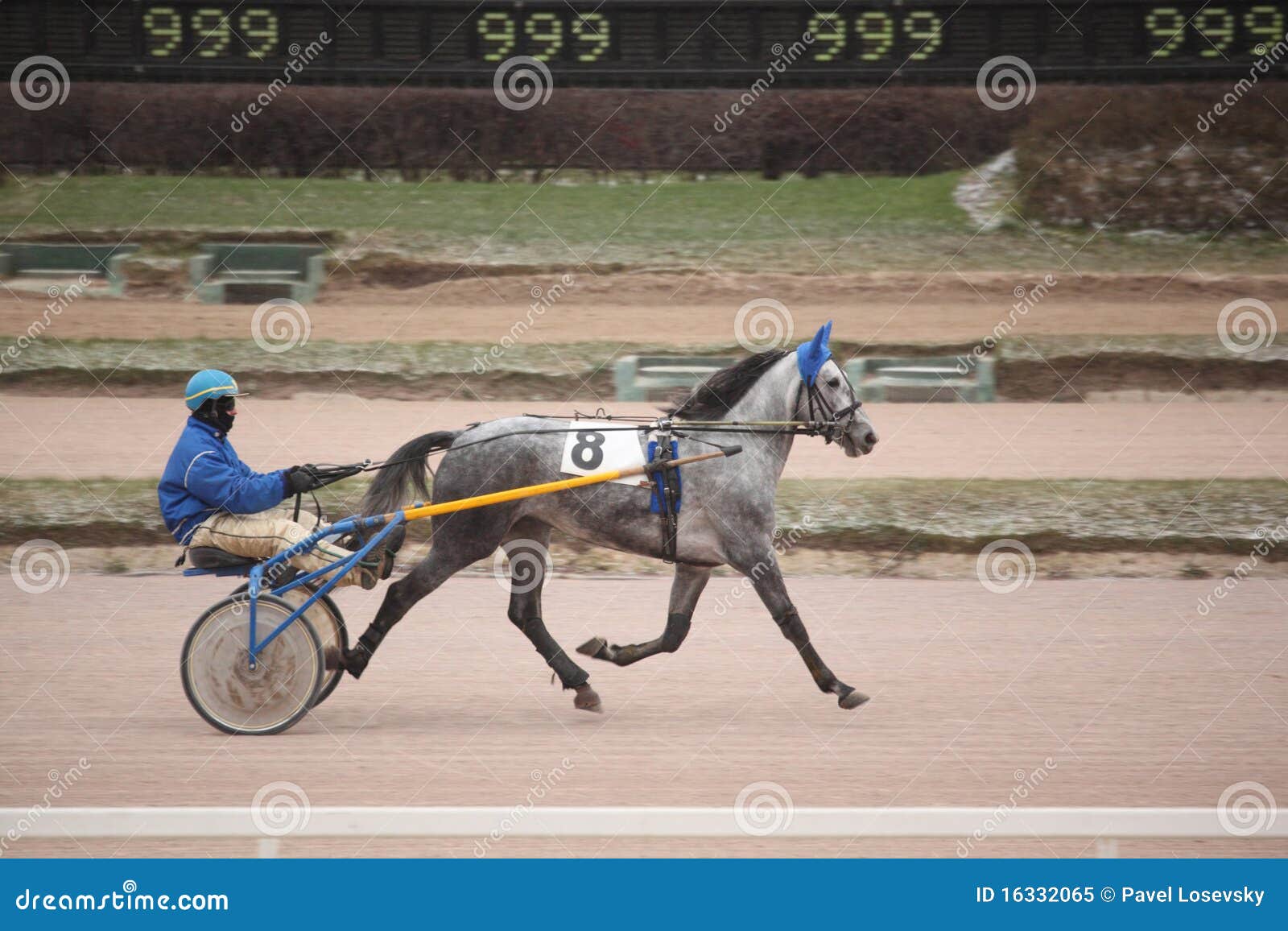 Horse Trot Racing on Moscow Hippodrome Editorial Image - Image of ...