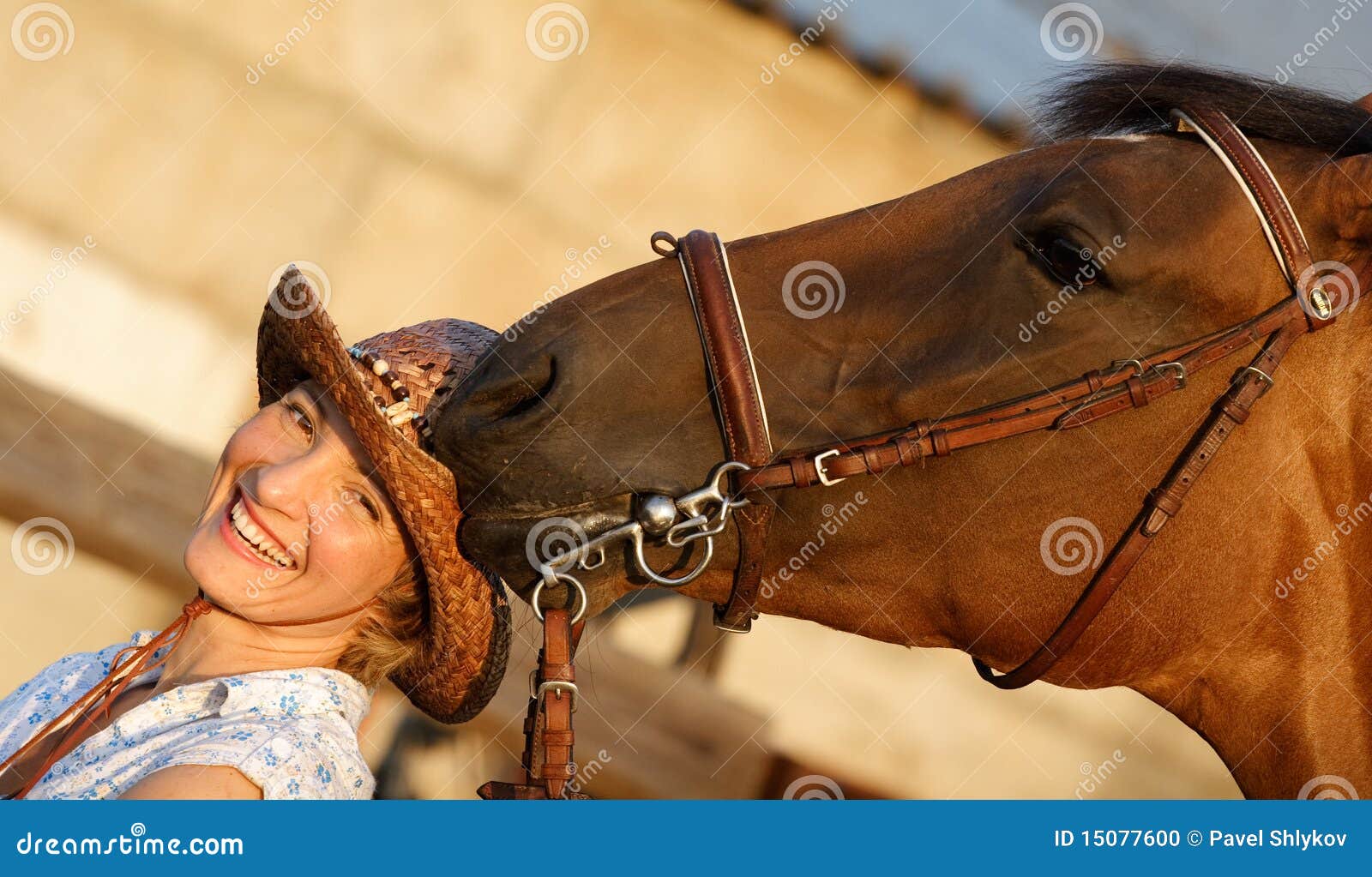 Horse try to eat a hat stock photo. Image of caucasian - 15077600