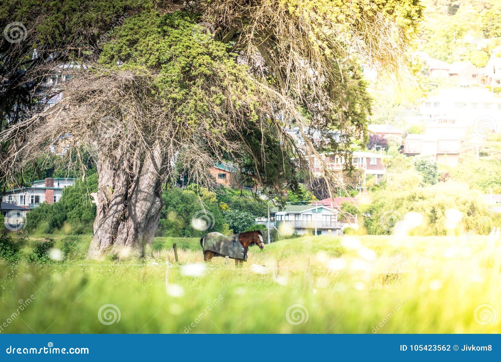 Escaping Tree Royalty-Free Stock Image | CartoonDealer.com #52186918