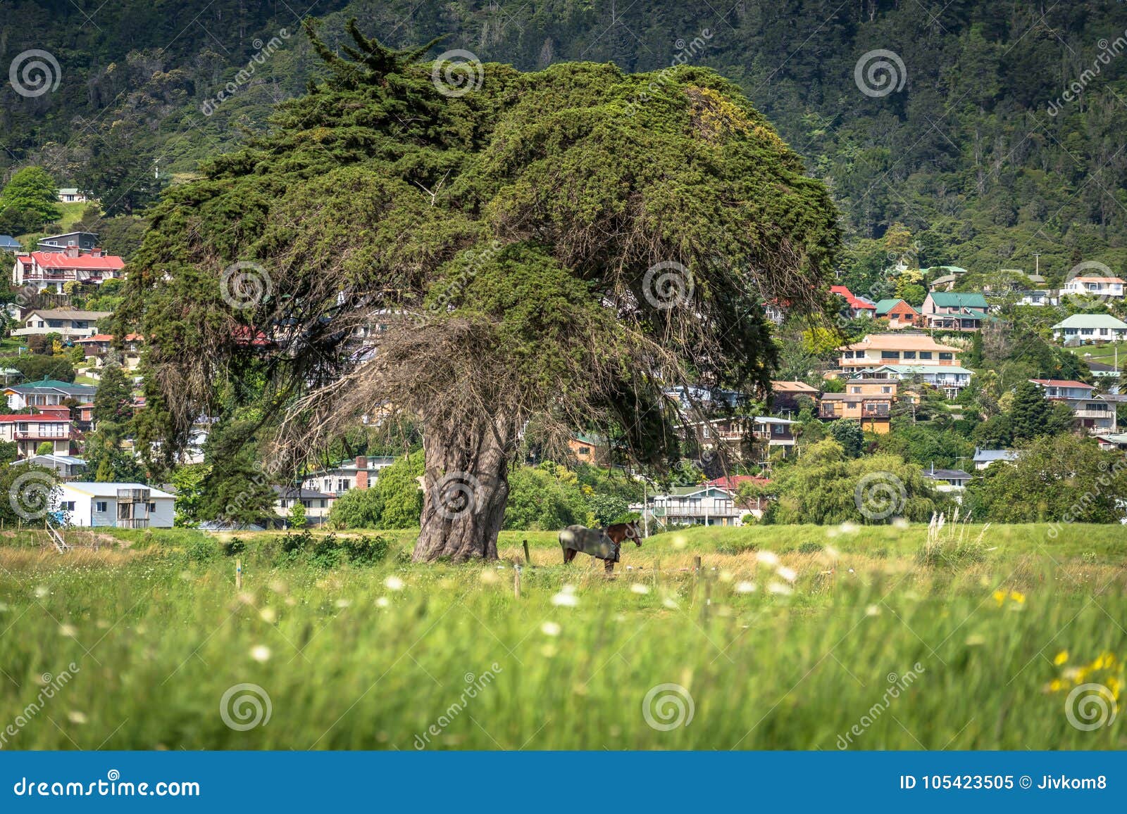 Escaping Tree Royalty-Free Stock Image | CartoonDealer.com #52186918