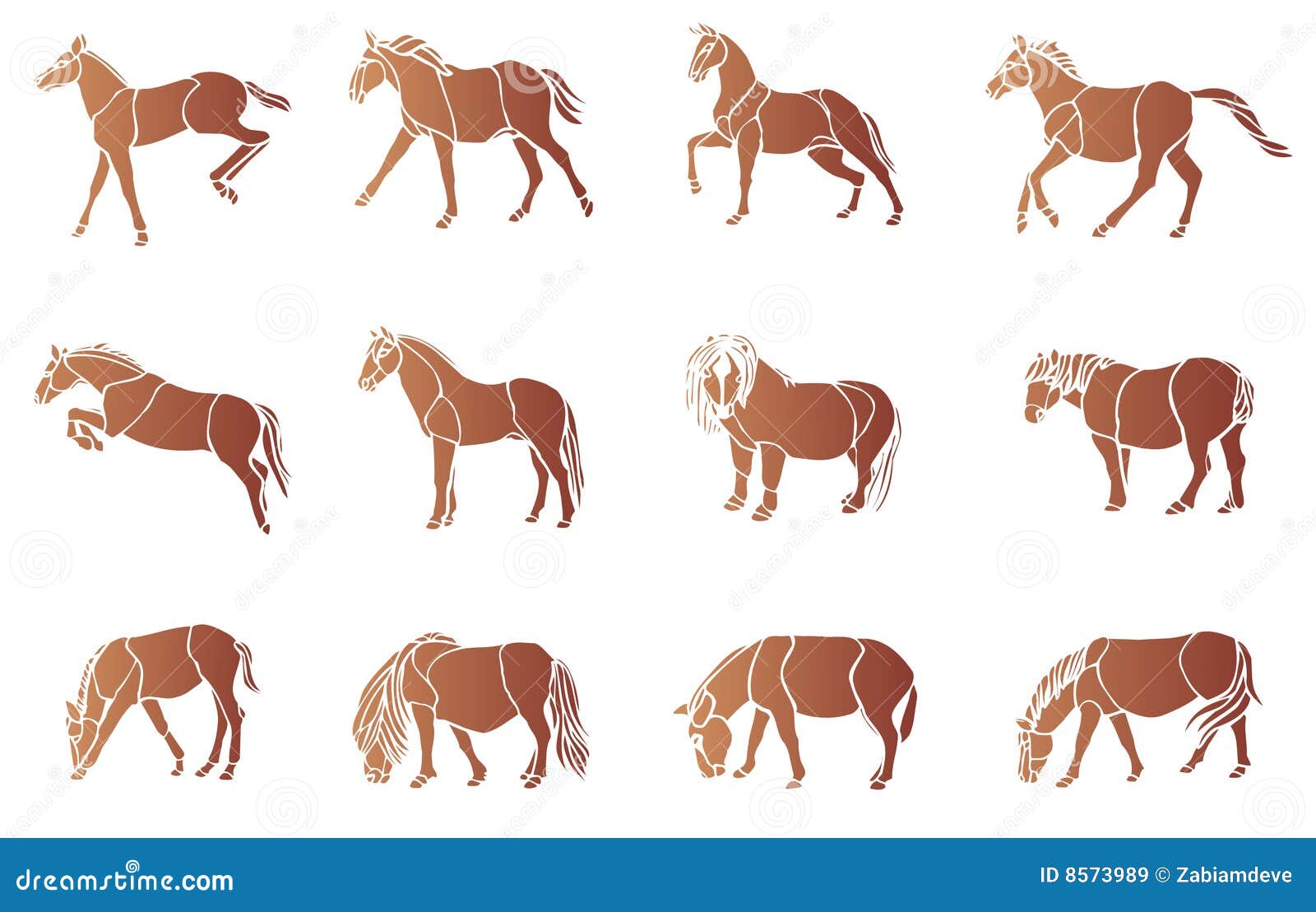 Horse Vector Illustration - Black And White Outline. Beautiful Horse ...