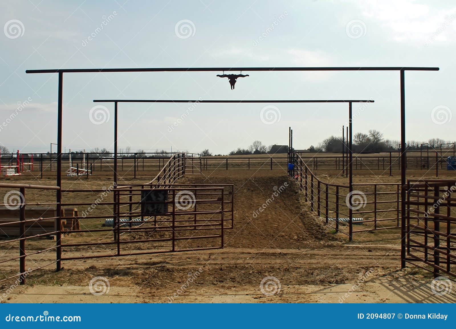 Horse Walk to Corrals stock image. Image of barn, horns - 2094807