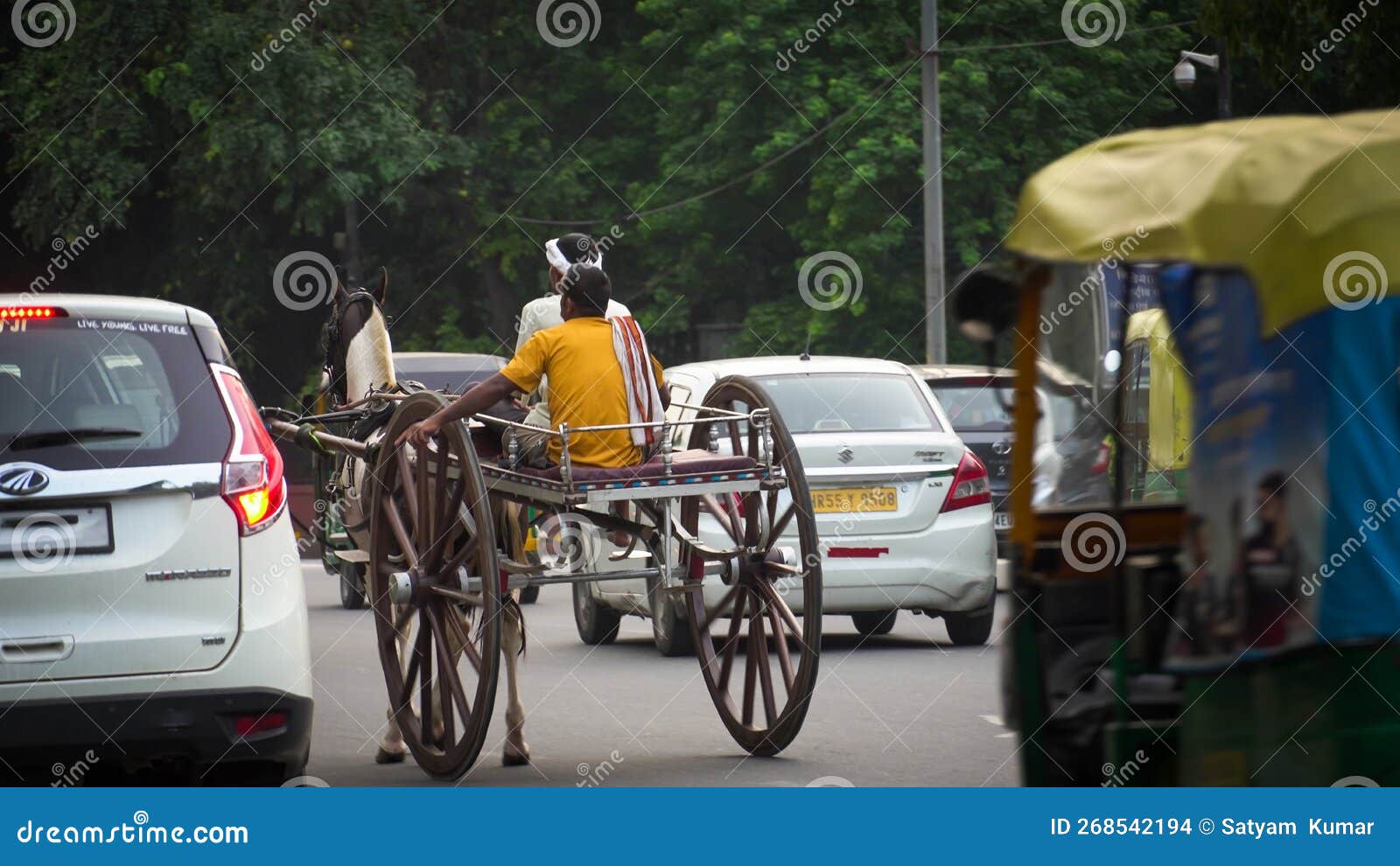 Horse Wheeler Hd Image Outdoor Editorial Stock Image - Image of ...