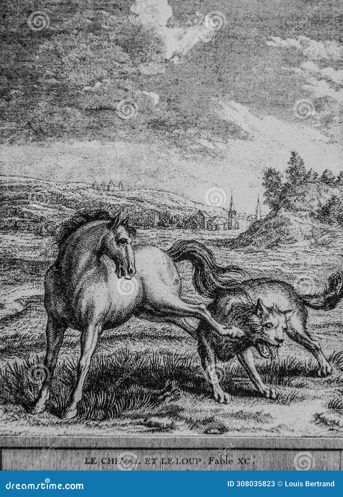 The Dog And The Wolf By Jean-Baptiste Oudry Royalty-Free Stock Image ... The Dog And The Wolf By Jean-Baptiste Oudry Royalty-Free Stock Image ...