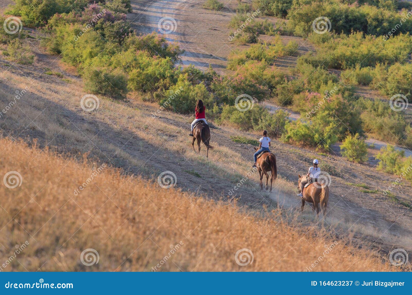 Horseback Ride of a Group of People Editorial Photography - Image of ...