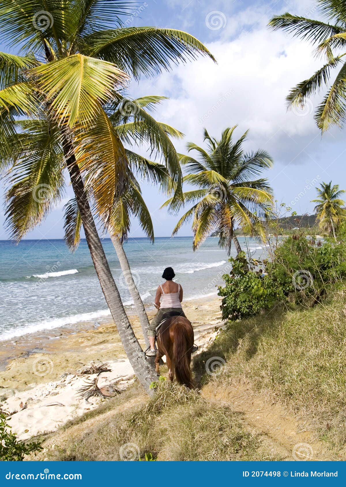 Horseback Rider by the Sea stock photo. Image of caribbean - 2074498