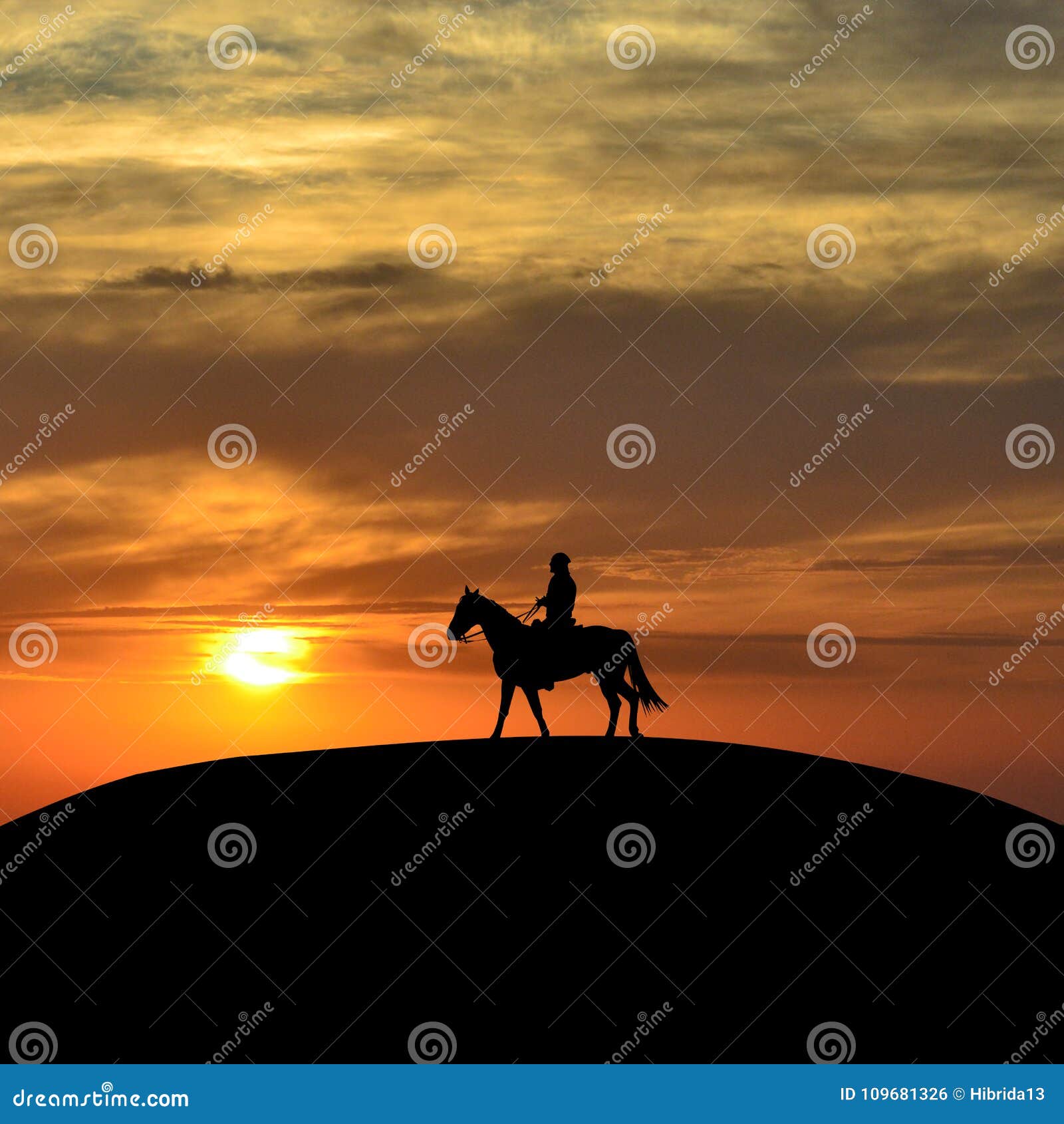 Horseback Rider Black Icon On White Background. Race Horsemen ...
