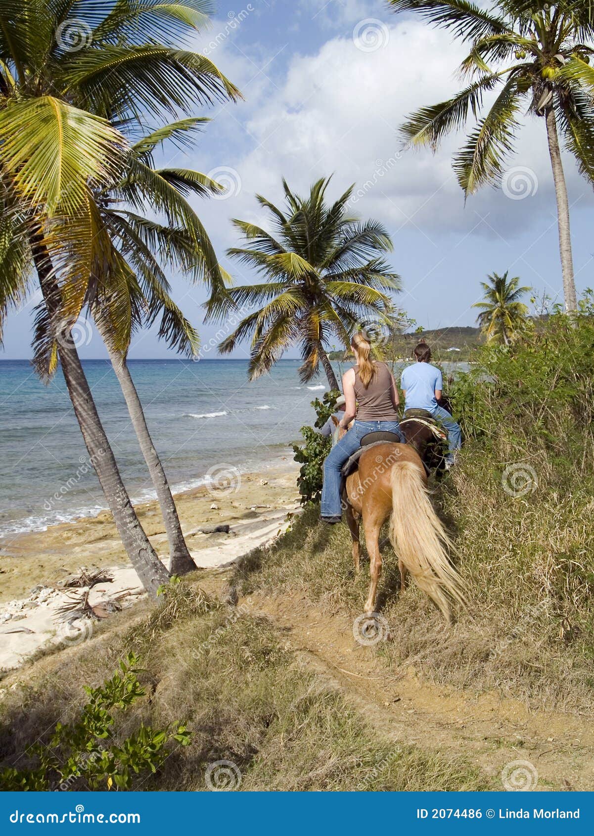 Horseback Riders by the Ocean Stock Photo - Image of sport, landscape ...