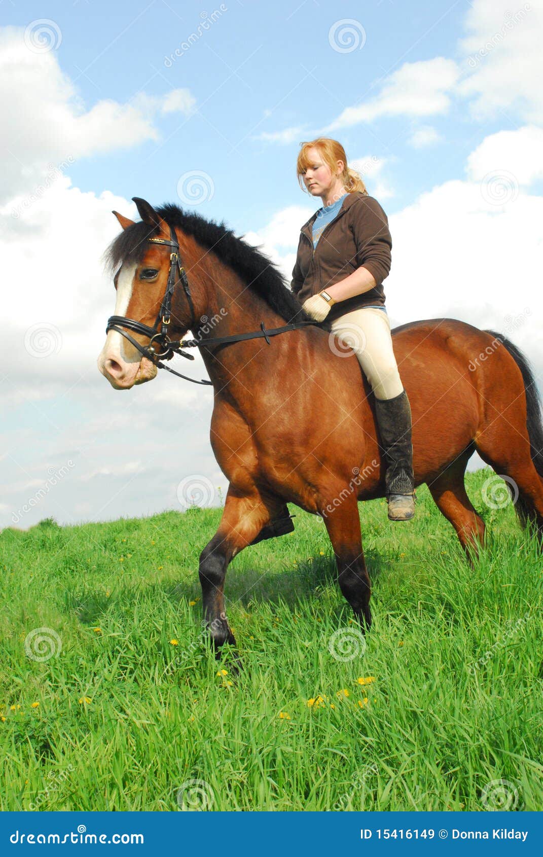 Horseback riding stock image. Image of equine, riding - 15416149