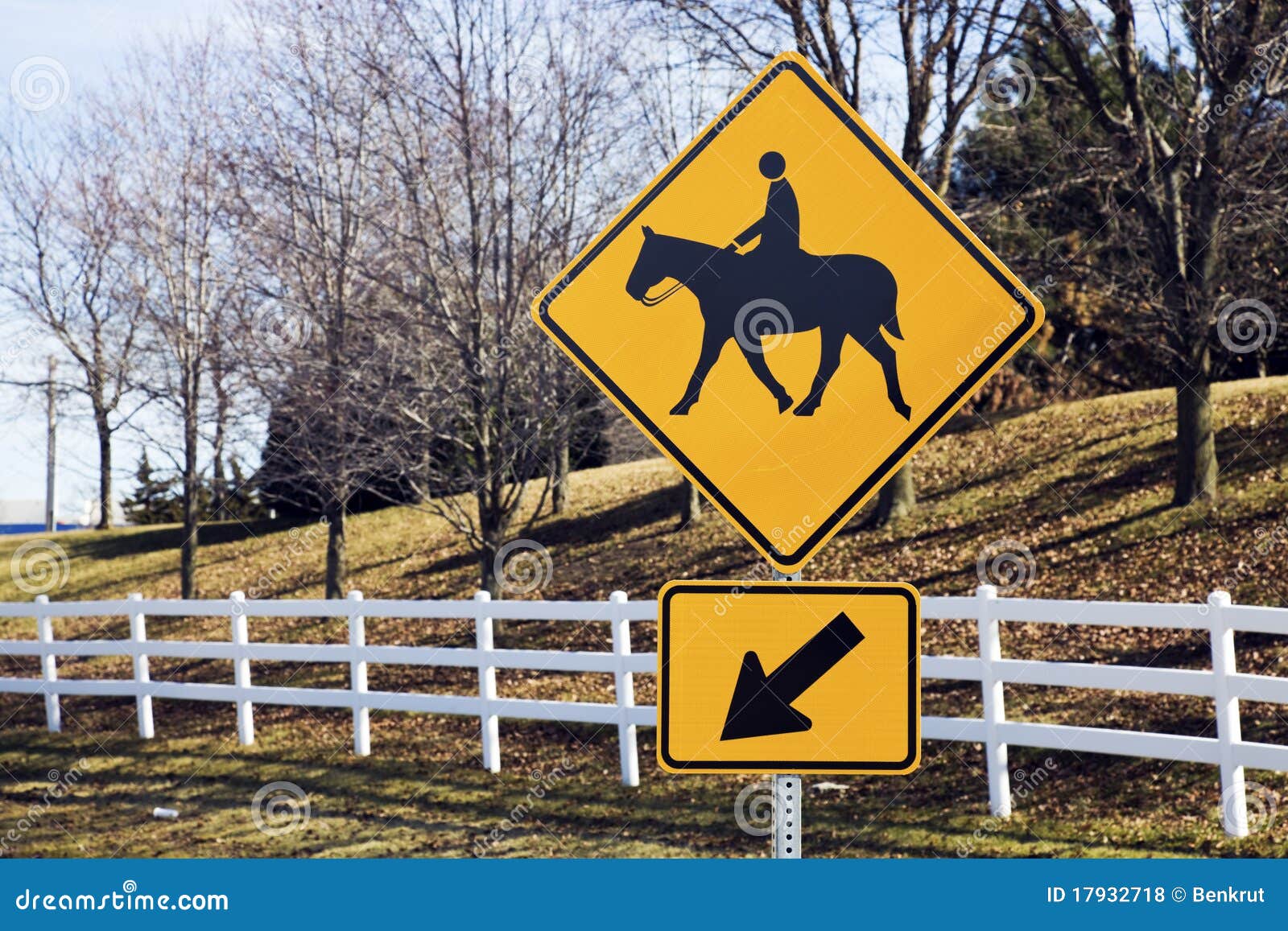 Horseback Riding stock photo. Image of tree, traffic - 17932718